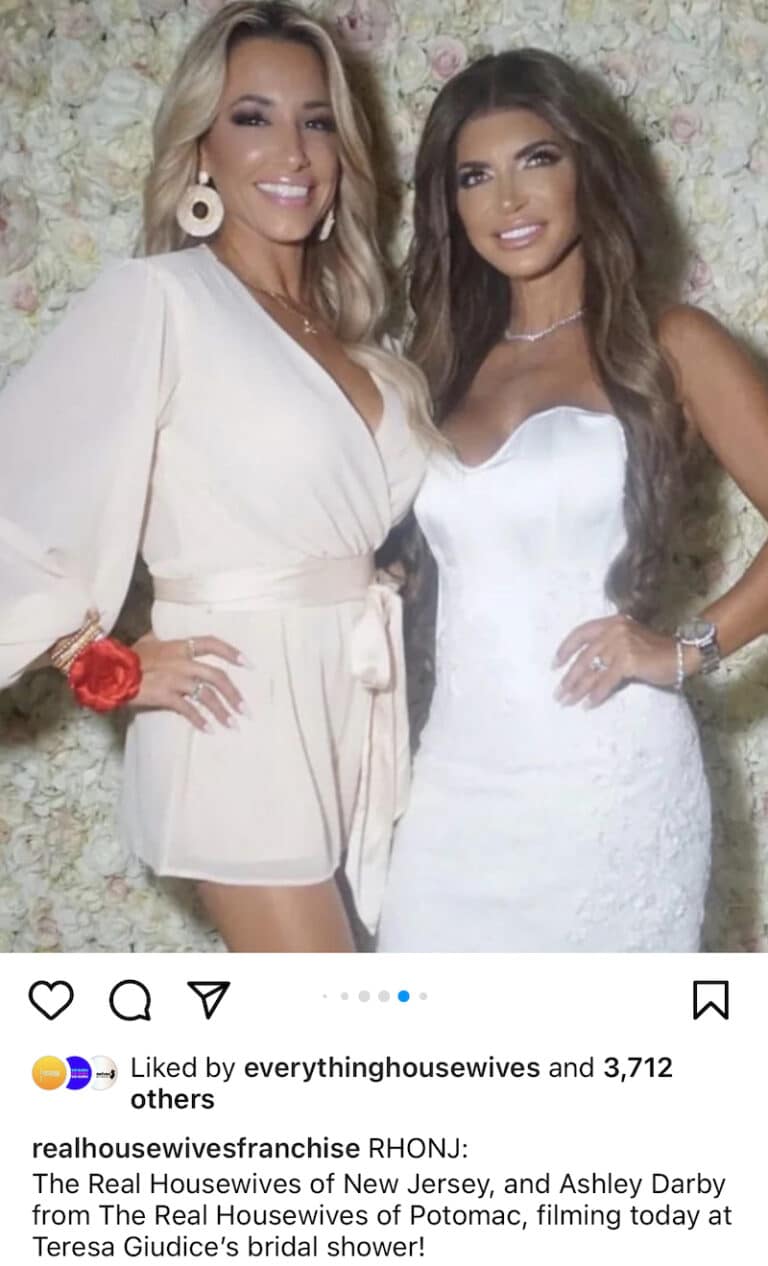 PICS Teresa Giudice Celebrates Bridal Shower With RHONJ Cast