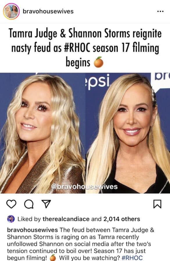 Tamra Judge Unfollows Shannon Beador Amid RHOC Season 17