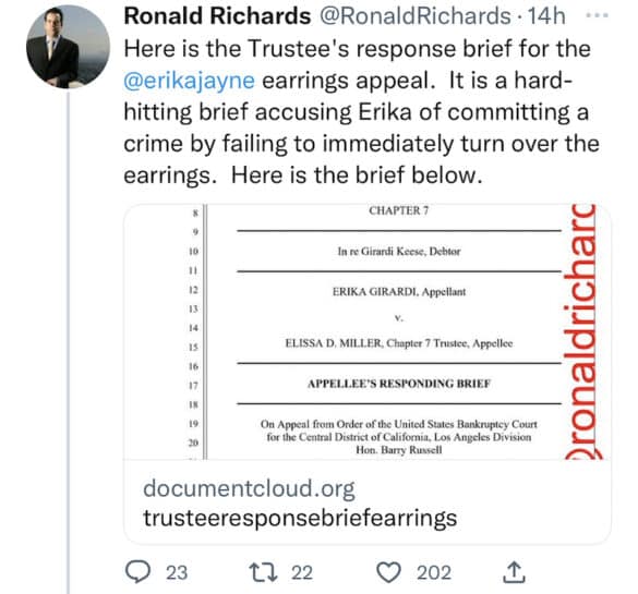Erika Jayne Accused of Committing a Crime Over 750K Earrings