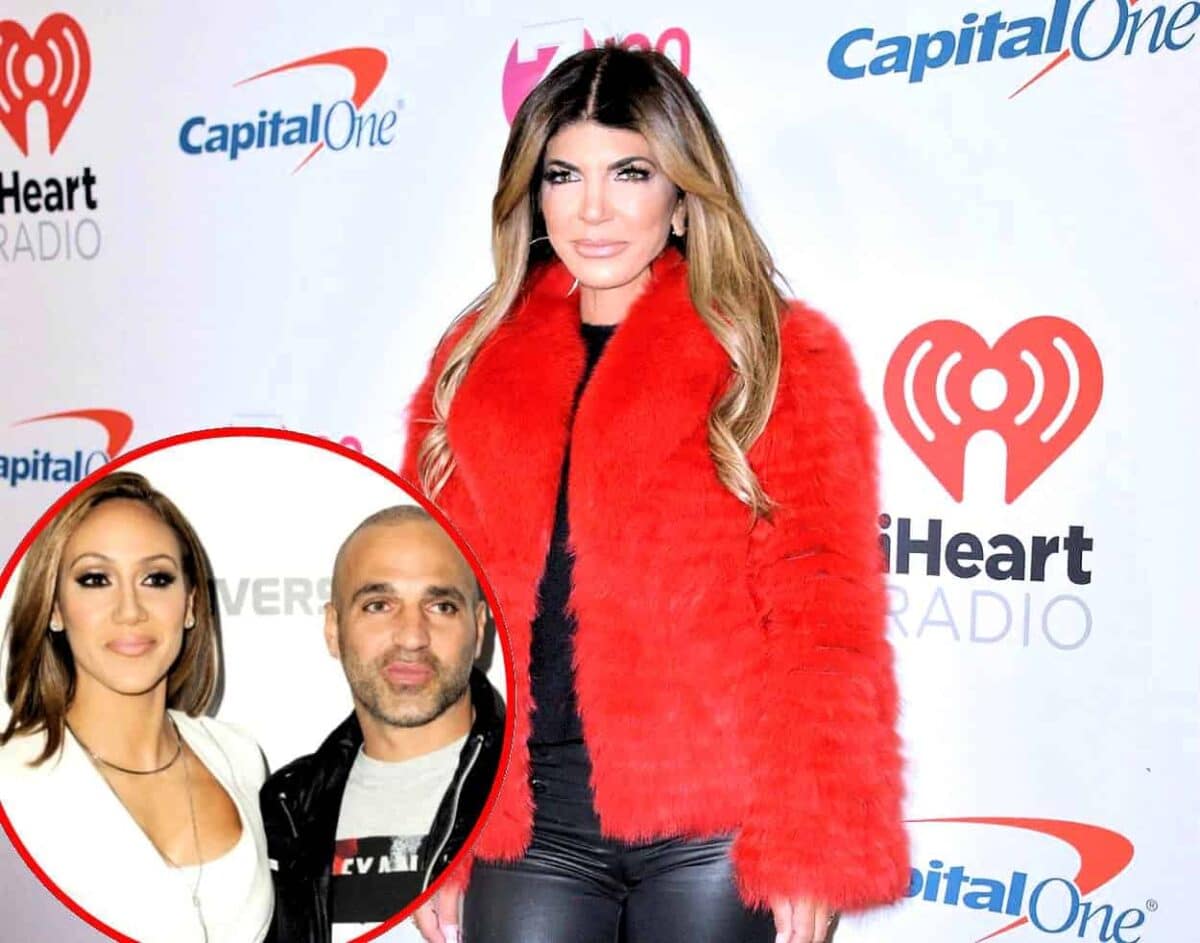 RHONJ: Is Teresa Giudice Shading Gorgas? See Her Cryptic Post