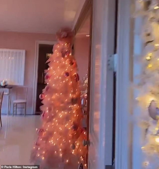 PIC: Paris Hilton Shows Off Mom Kathy’s $38K Vending Machine