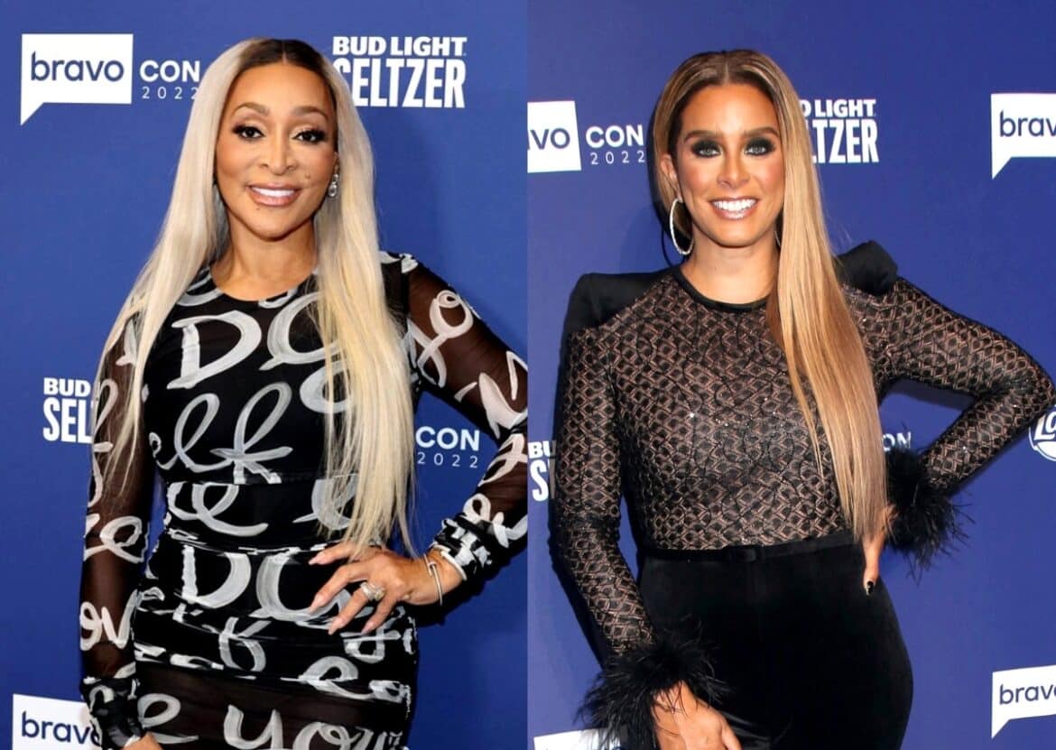RHOP: Karen Huger Slams Robyn for Deflecting & Defaming Her