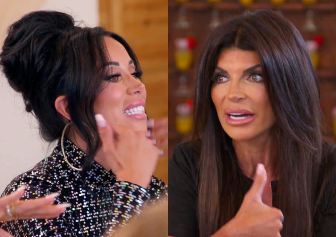 RHONJ Recap: Rachel Calls Teresa a Stupid B**tch Amid Fight