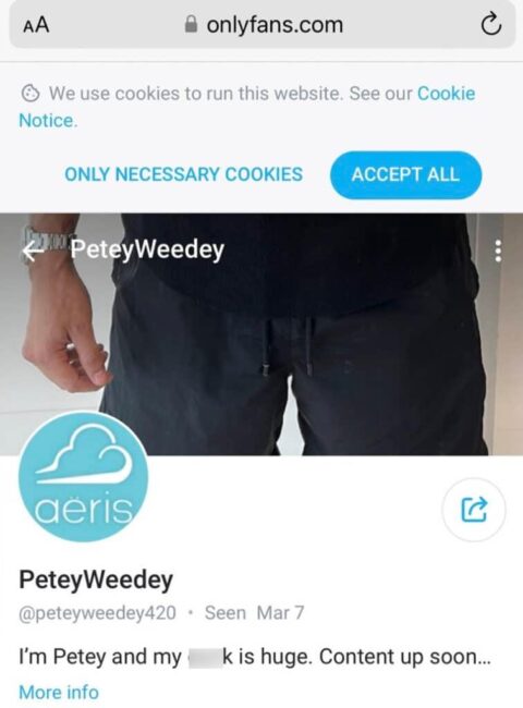 RHOM's Alexia Echevarria’s Son Peter Rosello Joins OnlyFans