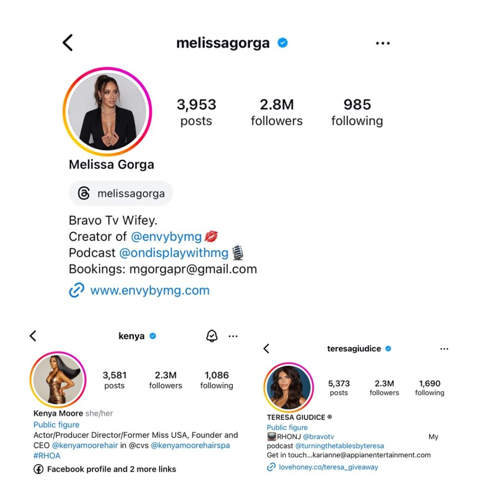 Chanel Ayan Suggests Melissa Gorga Bought Fake IG Followers