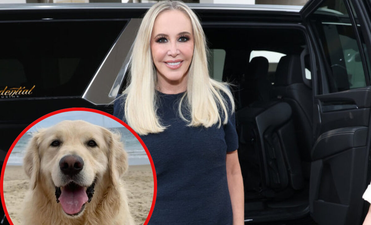 'RHOC' Shannon Beador's Dog Archie Has Died After Brain Cancer